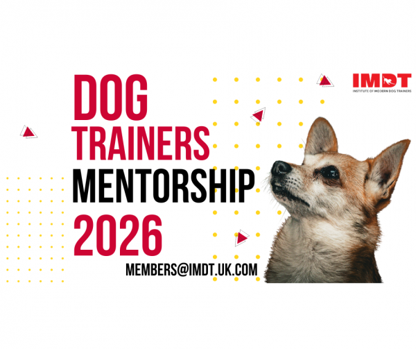 IMDT Dog Trainer Courses in England | Dog Trainer Courses