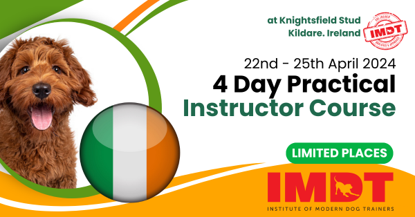 Dog Trainer Courses | Ireland IMDT Courses | Qualifications