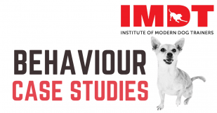 Dog Training Case Studies Course | Initial Customer contact through to ...