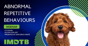 Abnormal Repetitive Behaviours in Dogs