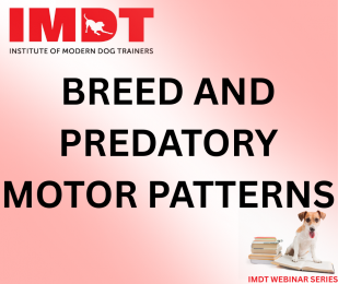 Breed and Predatory Motor Patterns - Webinar