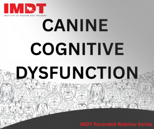 Canine Cognitive Dysfunction Webinar