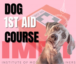 K9 First Aid Course | Canine | First Aid for Dogs