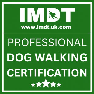 Professional Dog Walking Certification