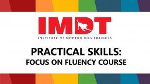 Practical skills - Focus on Fluency