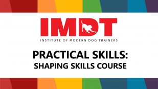 Practical Skills - Shaping Skills