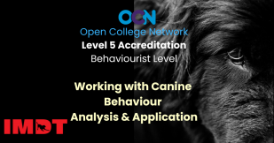 Completion of this Level 5 course results in the successful candidate ...