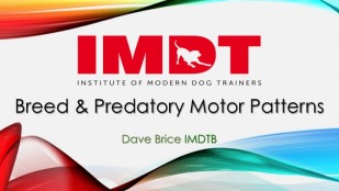 Breed and Predatory Motor Patterns - Webinar