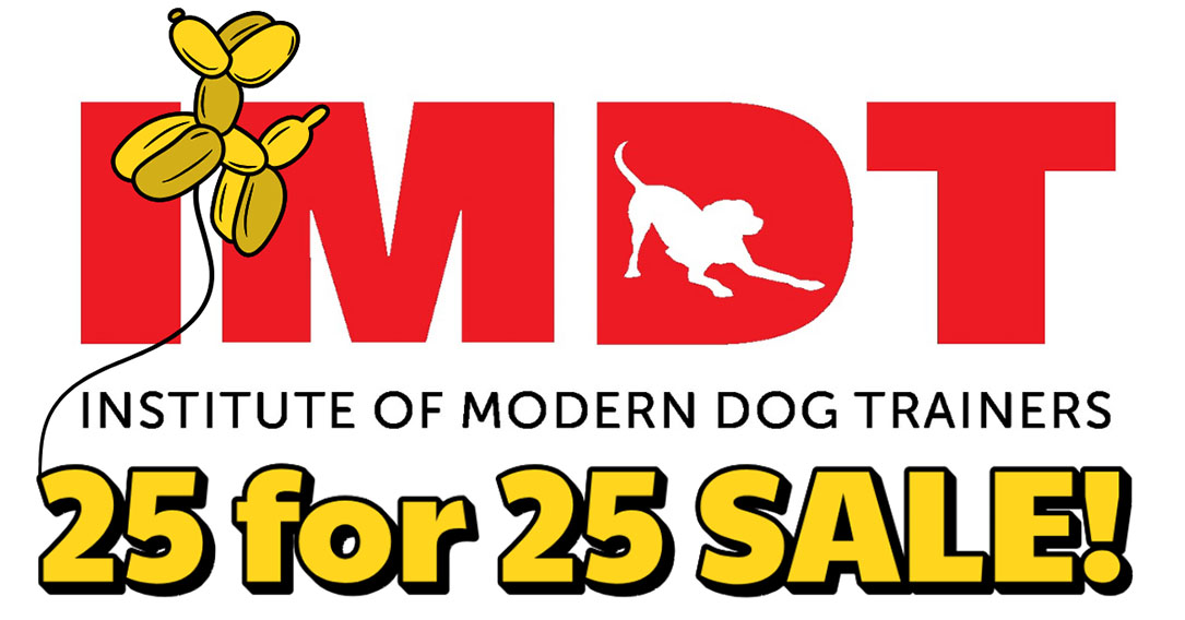 IMDT Dog Trainer Courses in England | Dog Trainer Courses